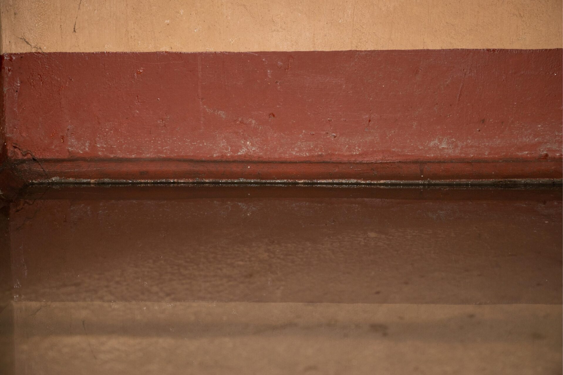 Navigating Mold Remediation After a Flood | Zona Restoration