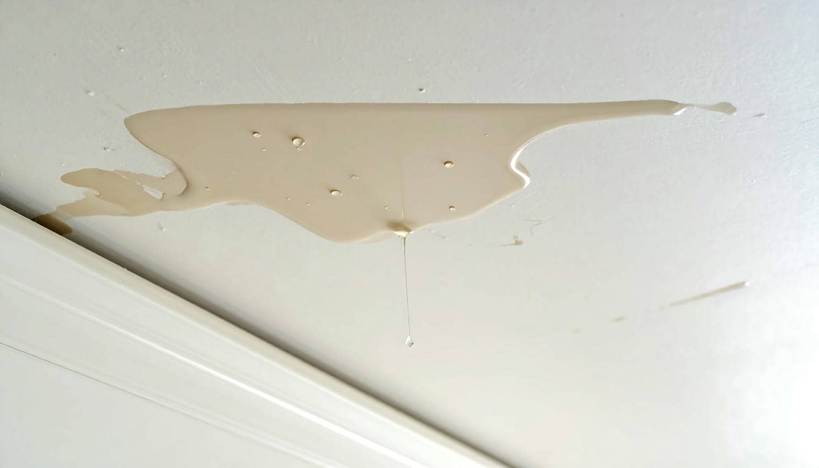 What Are Top Strategies for Ceiling Water Damage Repair?